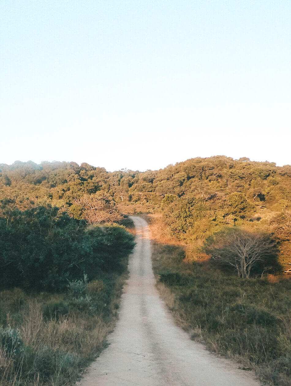 The 3 best South-African Game Parks for your first safari - Along Came ...