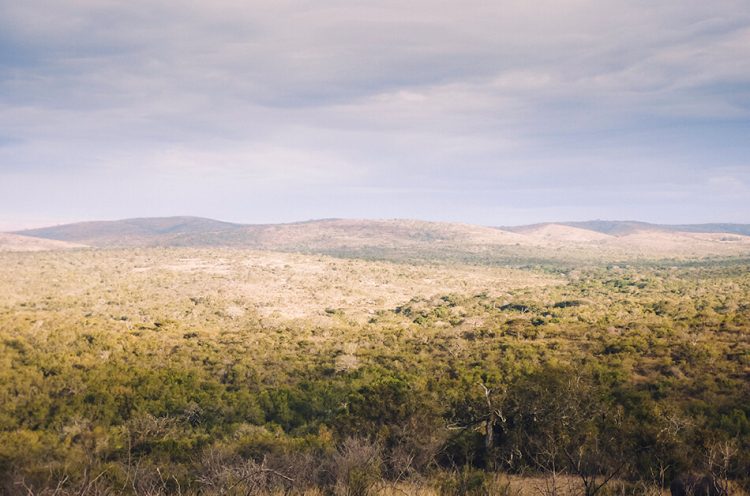 The 3 best South-African Game Parks for your first safari - Along Came ...
