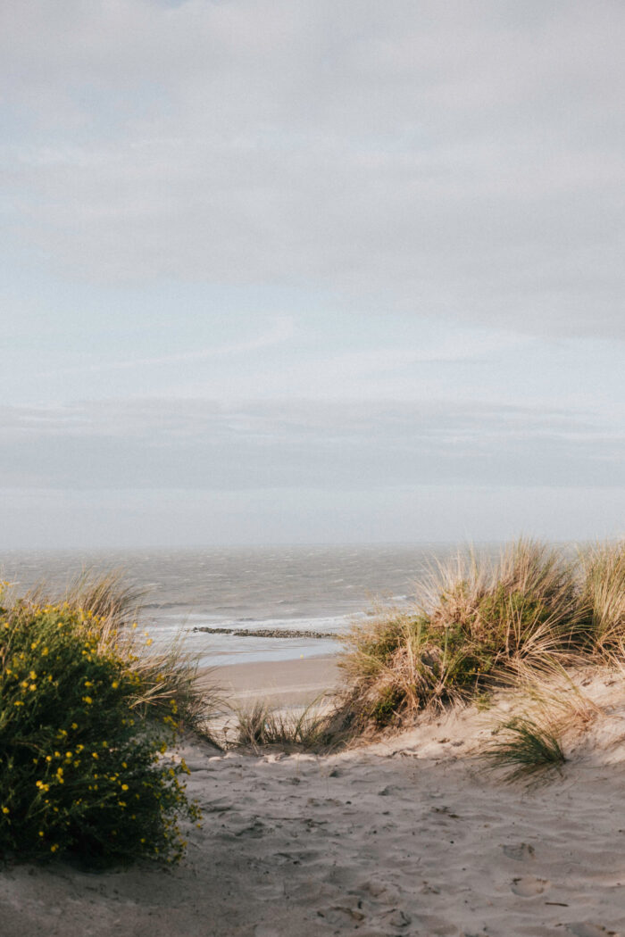 In search of unspoiled nature on the Belgian coast in Bredene: what to ...