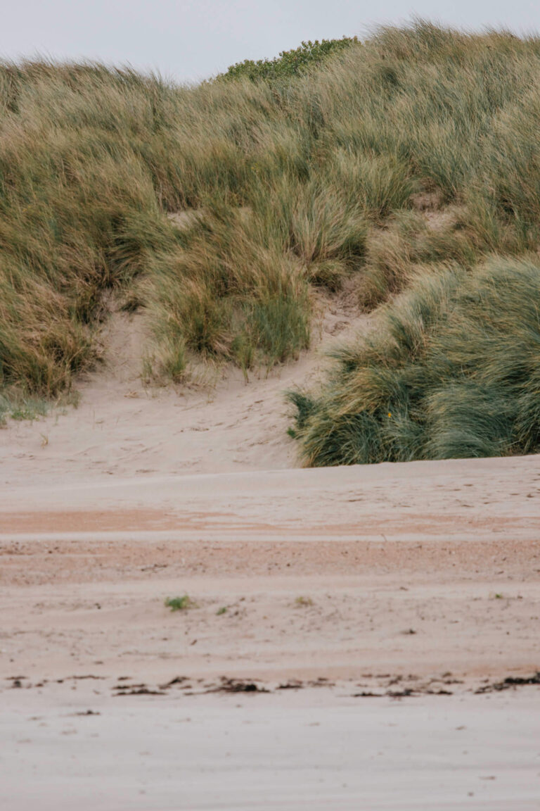 In search of unspoiled nature on the Belgian coast in Bredene: what to ...