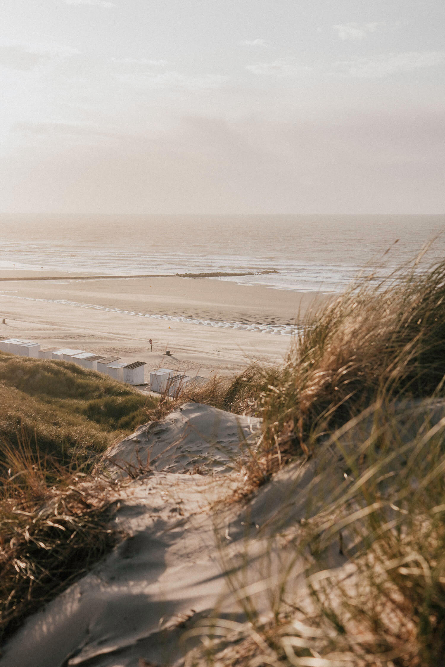 In Search Of Unspoiled Nature On The Belgian Coast In Bredene What To in-search-of-unspoiled-nature-on-the-belgian-coast-in-bredene-what-to
