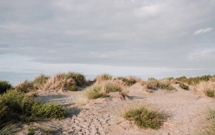 In Search Of Unspoiled Nature On The Belgian Coast In Bredene What To in-search-of-unspoiled-nature-on-the-belgian-coast-in-bredene-what-to