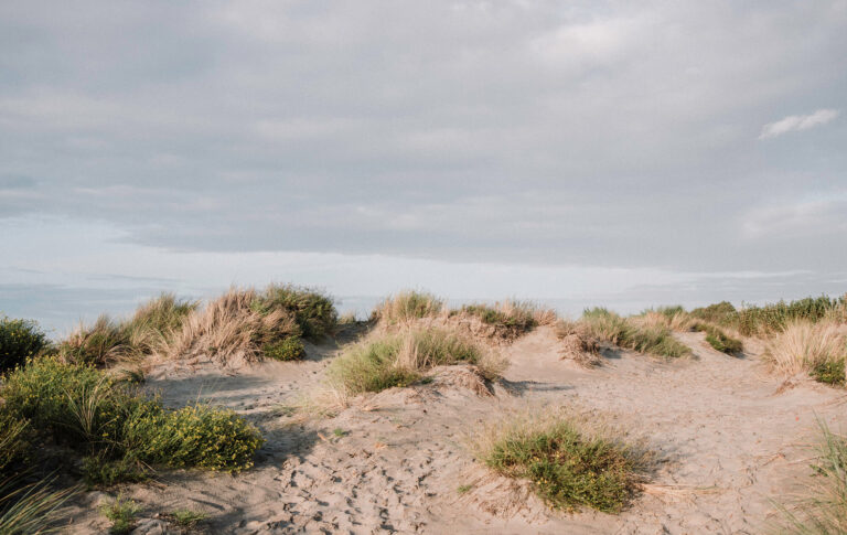 In search of unspoiled nature on the Belgian coast in Bredene: what to ...