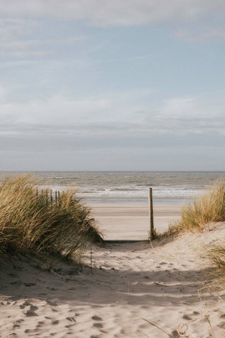 In search of unspoiled nature on the Belgian coast in Bredene: what to ...