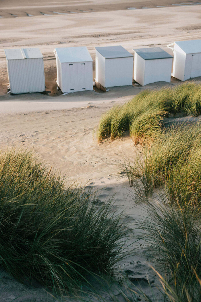 In search of unspoiled nature on the Belgian coast in Bredene: what to ...