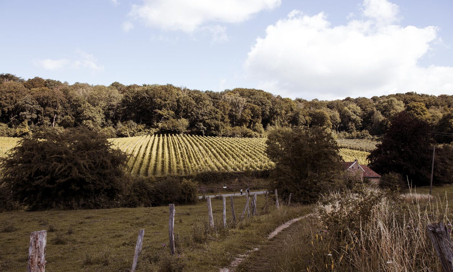 Bronnenwandeling in Voeren: op pad langs de mooiste wandeling van ...