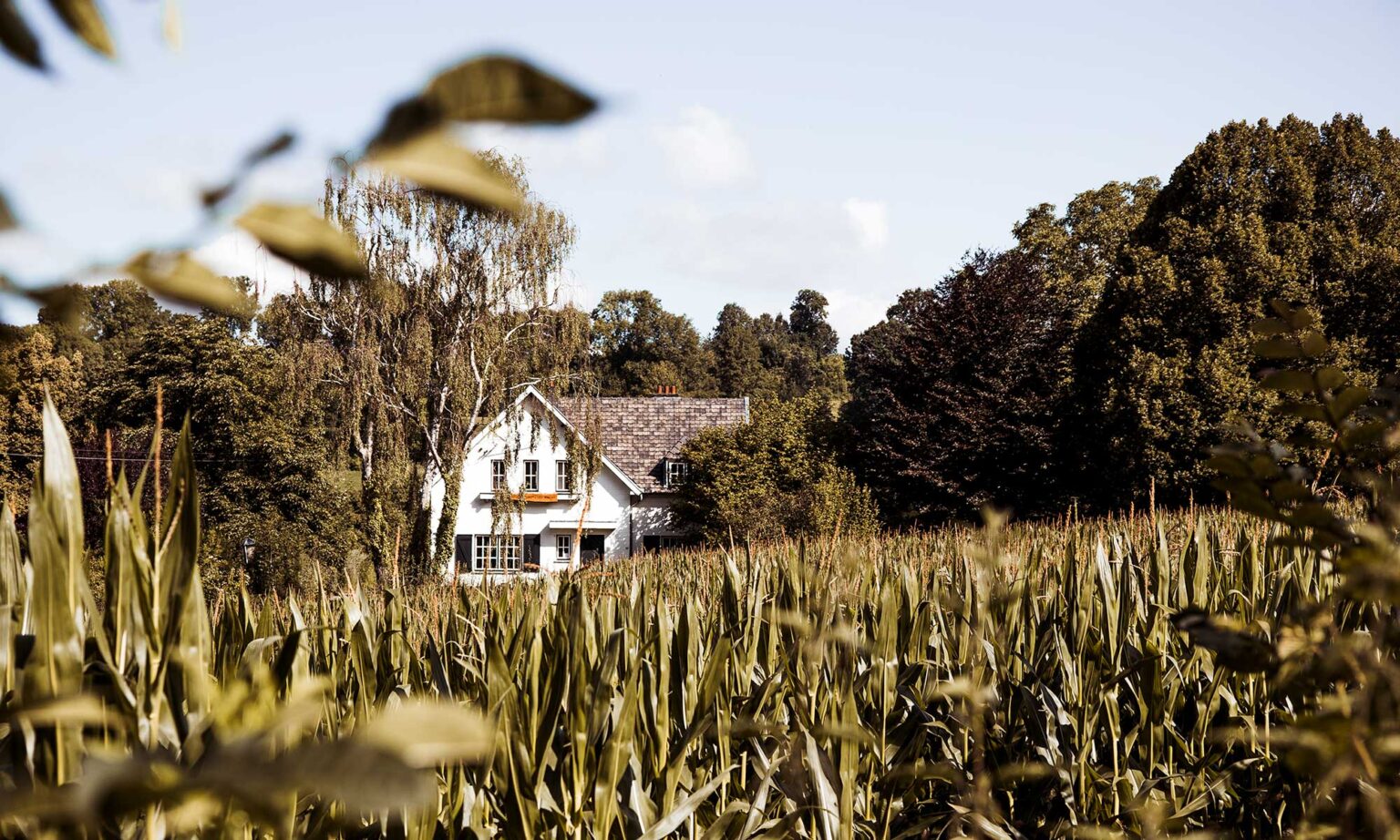 Bronnenwandeling in Voeren: op pad langs de mooiste wandeling van ...