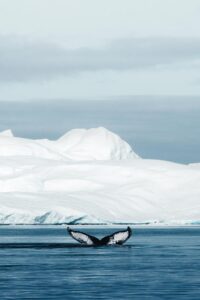 Ultimate Greenland vacation: A 10-Day Greenland Itinerary for Your ...